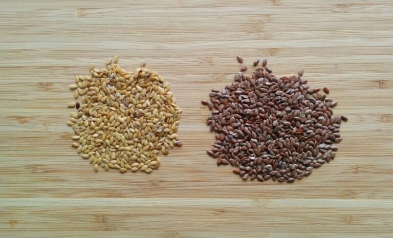 Golden Flaxseed vs. Brown Flaxseed | North American Nutrition